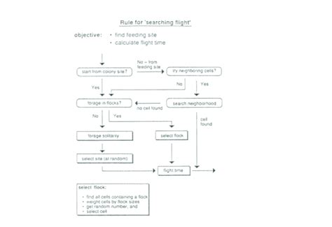 a schemata showing some of the searching choices that are made by a