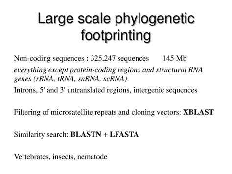 Ppt Searching For Functional Regions Coding Or Non Coding In Mammalian Genomes Powerpoint