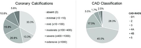 Distribution Of Coronary Calcifications And Cad Severity In The Study