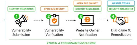 Cross Site Scripting Vulnerability Obb 3931087 Open Bug