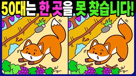 【다른그림찾기치매예방】 50대는 3개 중 한 곳은 못 찾습니다 집중력 향상 치매 예방 퀴즈 【틀린그림찾기두뇌운동