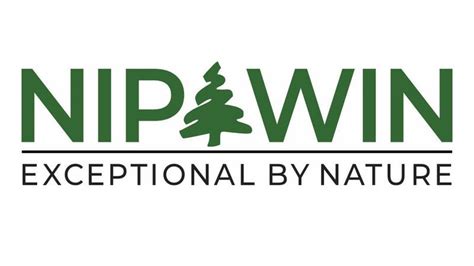 Town Of Nipawin Launches New Website Northeastnow