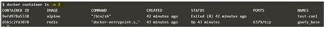 Docker List Containers How To List Containers In Docker Examples