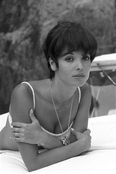 Image Of Elsa Martinelli Image Of Elsa Martinelli