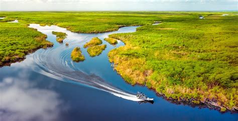 Je Ultieme Gids Voor Een Bezoek Aan De Everglades