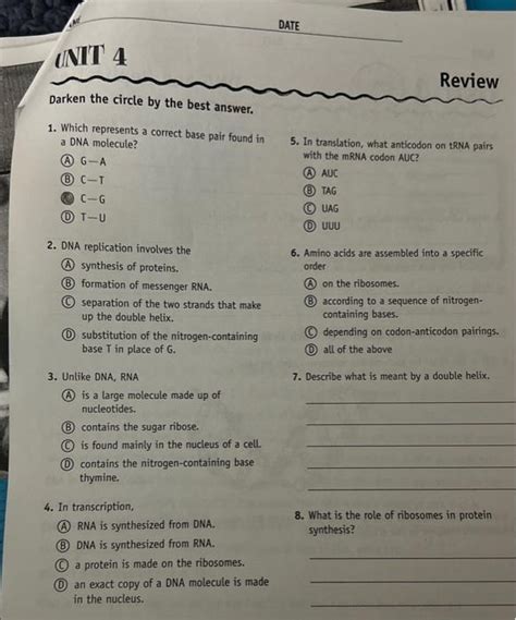 Solved 1 Which Represents A Correct Base Pair Found In A