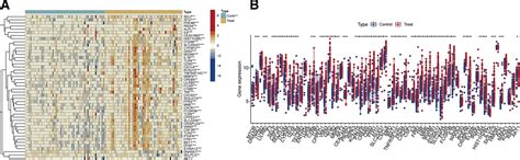 A Machine Learning Based Diagnostic Model For Myocardial Inf Medicine