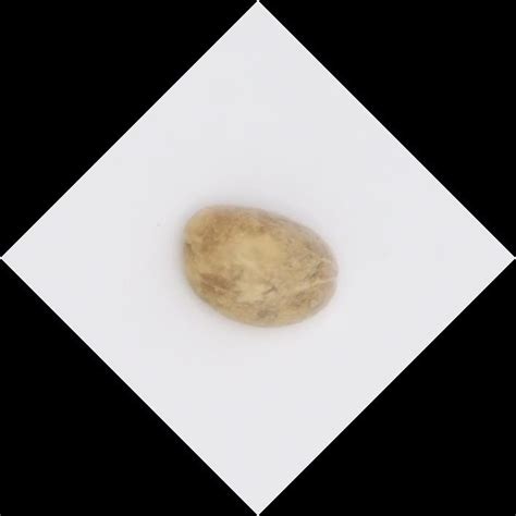 Coffee Beans Dataset Object Detection Dataset And Pre Trained Model By Stay