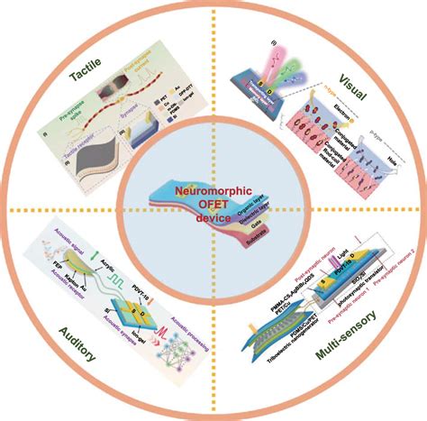 Recent Advances In Fabrication And Functions Of Neuromorphic System Based On Organic Field Recent Advances In Fabrication And Functions Of Neuromorphic System Based On Organic Field