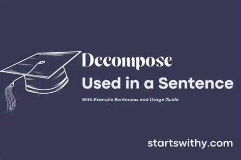 Decompose In A Sentence Examples 21 Ways To Use Decompose
