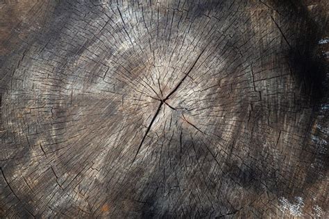 Centralized Vpc Endpoints What They Are And How To Connect Securely Paradigma