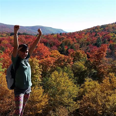 An Introduction To Bushwhacking Aka Hiking Off Trail Destination
