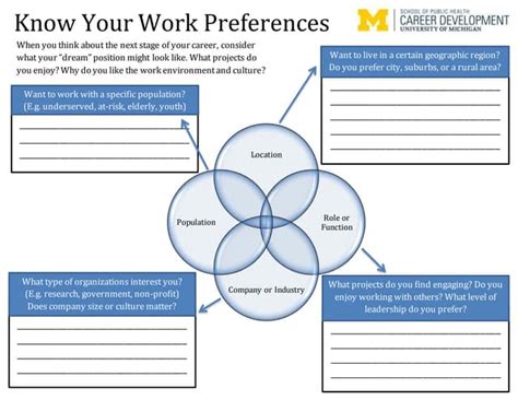 Know Your Work Preferences Ppt