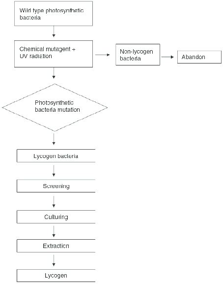 Flow Chart Of Lycogen Production Download Scientific Diagram