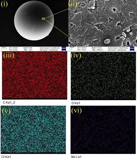 fe sem micrograph i high resolution fe sem micrograph ii and