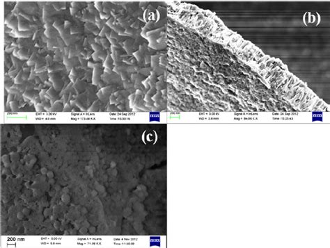 Sem Images Shows A As Deposited Tin Film Surface Morphology B As