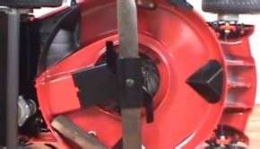Toro