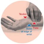 How To Check Pulse Rate The Right Way And Why You Should