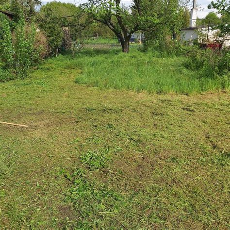 Jopex Usługi Ogrodnicze