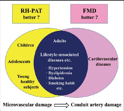 Figure Postulated Application Of Reactive Hyperemia Peripheral