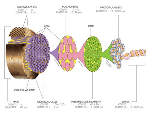 Biochemistry Copy1 On Emaze