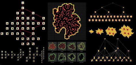 Aggregation And Tiling As Multicomputational Processes—stephen Wolfram