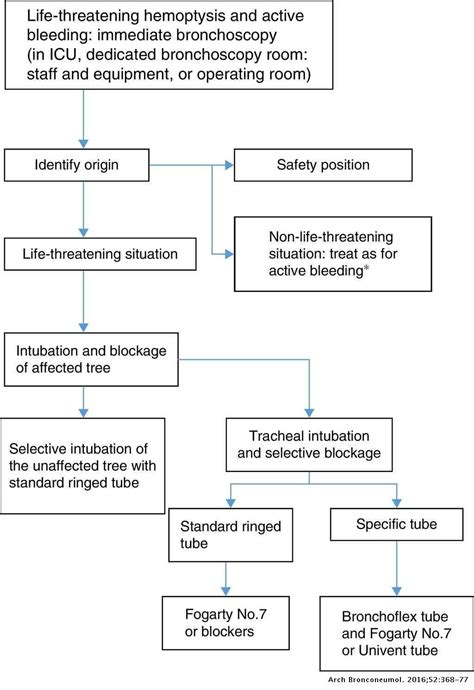 Diagnosis And Treatment Of Hemoptysis Archivos De Bronconeumología
