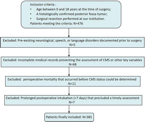 Frontiers Sex As An Independent Risk Factor For Cerebellar Mutism