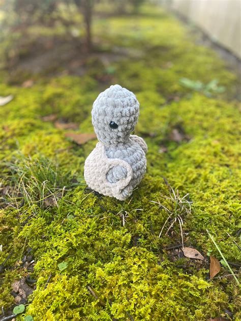 Timothy The Turtle Etsy