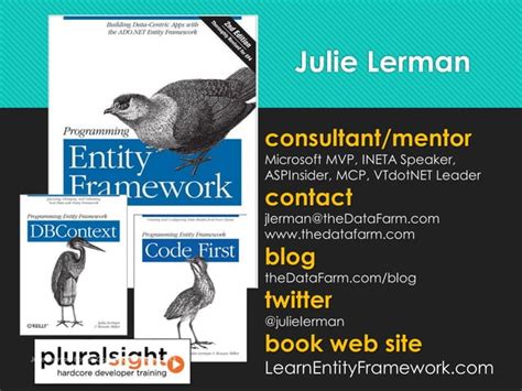 Julie Lerman Entity Framework In The Enterprise Boston Code Camp March