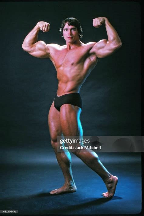Professional Bodybuilder Arnold Schwarzenegger Posing At The Top Of