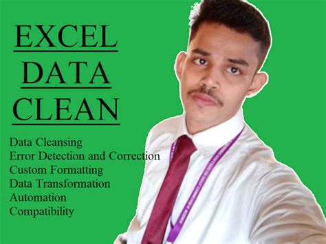 clean and format excel data by cleanexcelsumit fiverr
