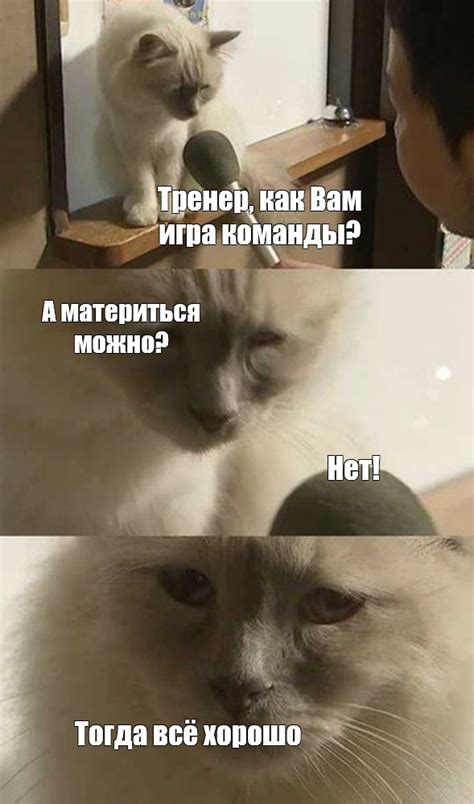 Сomics meme: "Тренер, как Вам игра команды? А материться можно? Нет ...