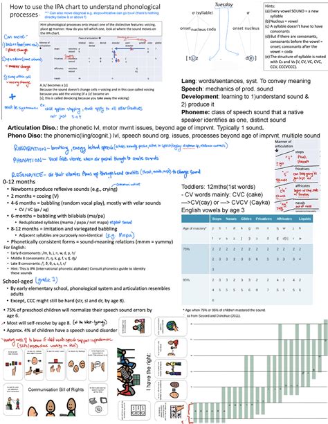 Ling Cheat Sheet 2 Summary Communication Disorders I L Lang Words