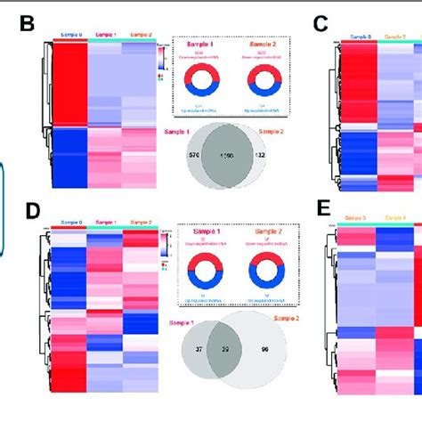 Messenger Rna Mrna And Long Noncoding Rna Lncrna Expression