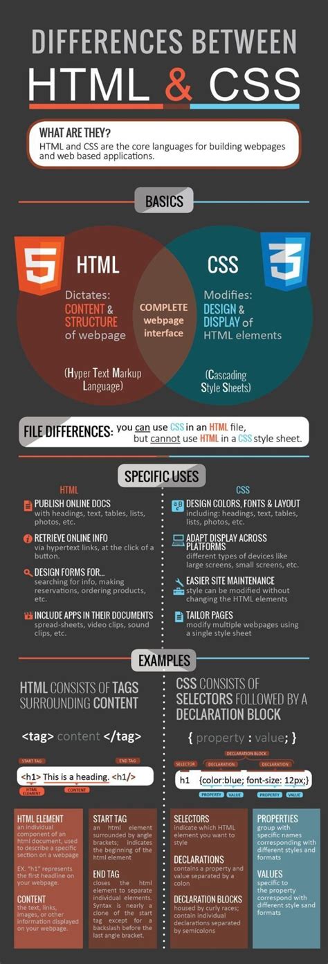 Management Travel Infographic Key Differences Between Html Css Have A Big Network Of
