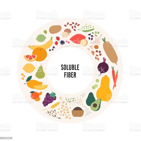 건강한 식생활 개념을위한 음식 가이드 벡터 평면 디자인 다양한 가용성 섬유 소스 제품 흰색 배경에 고립 된 원 프레임에 다채로운 기호 섬유에 대한 스톡 벡터 아트 및 기타