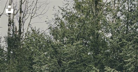 검은 재킷과 파란색 데님 청바지를 입은 남자가 낮 동안 도로에서 스케이트보드를 타고 있다 사진 Unsplash의 무료 회색 이미지