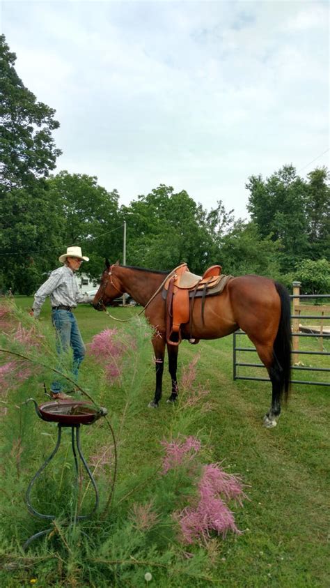 Sta Set Solid Colors New England Ropes —