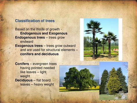 Wood And Wood Products Ppt Download Wood And Wood Products Ppt Download