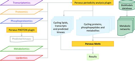 schematic overview of the data analysis workflow with time series