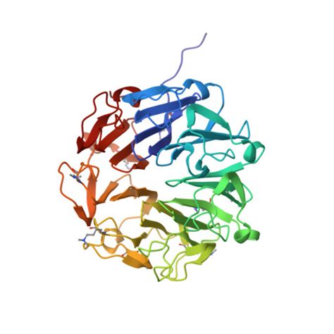 Rcsb Pdb 6xzl Arabidopsis Uv B Photoreceptor Uvr8 Mutant D96n D107n