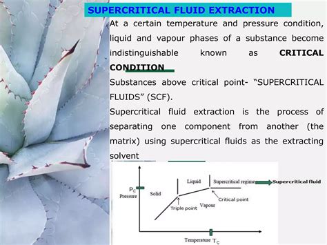 Basic To Phytochemistry Pdf