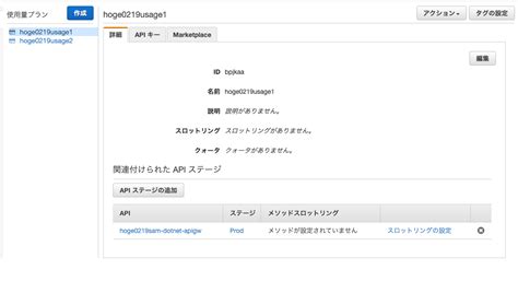 Amazon Api Gateway のキャッシュを有効化した時に Api キーの使用量がどのように算出されるか検証してみた