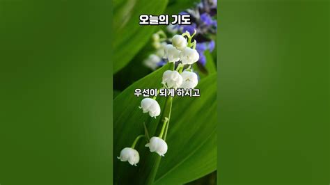 하나님의 말씀따라 사는 인생되게 하옵소서 오늘의기도 은혜로운채널 Youtube