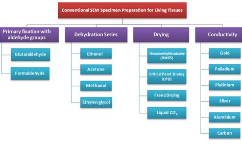 Diagram 1 Suggested Operational Flowchart To Prepare Living