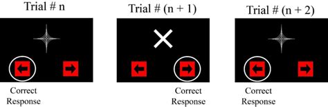Example Trials For The Concurrent Visual Discrimination Cvd Task