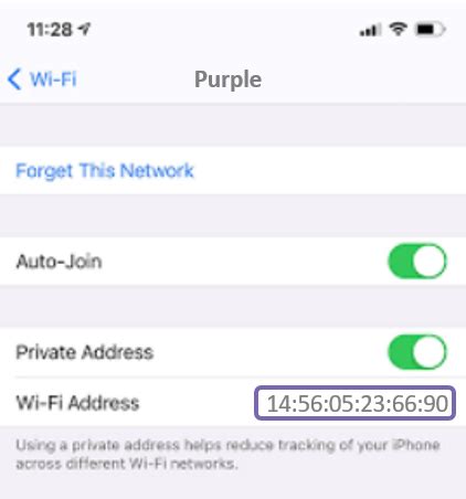 MAC Randomization Purple Support