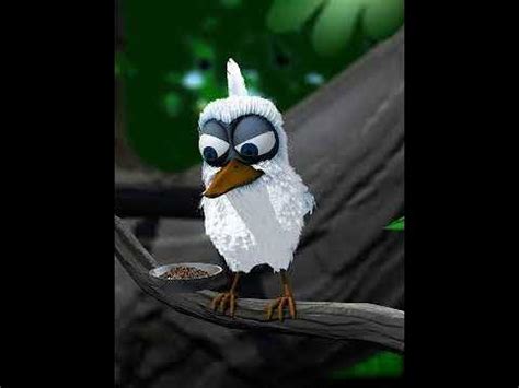 Talking Larry The Bird Ipad App Youtube