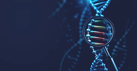 Java Mutation Testing Explained Tools Examples And Best Practices